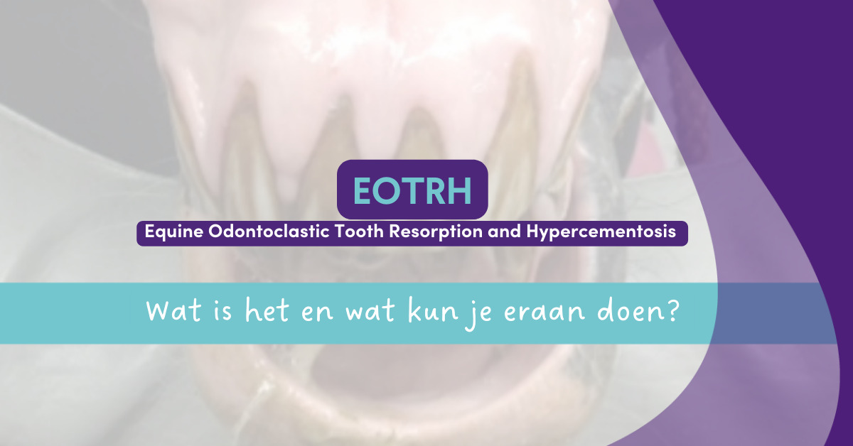EOTRH | aandoening aan de snijtanden van een paard